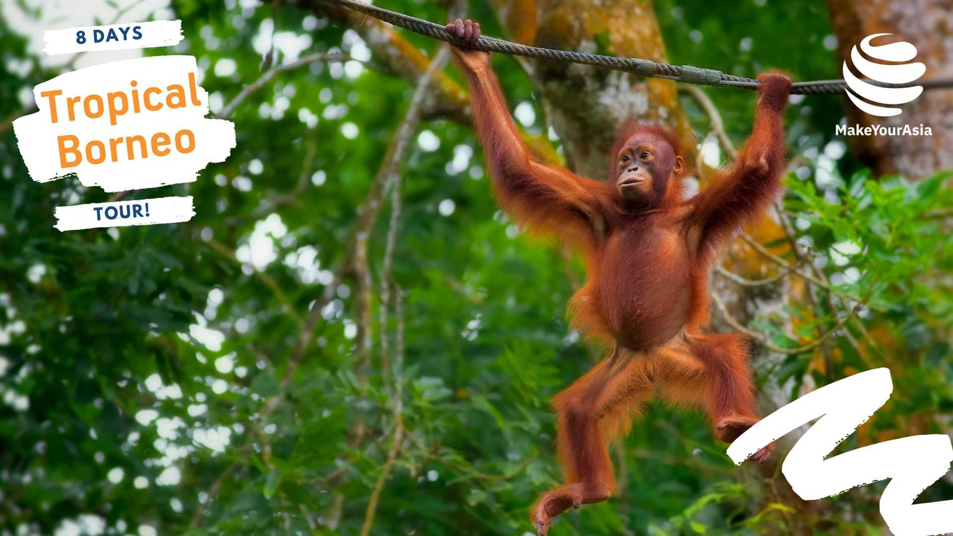8 days Tropical Borneo | Private Tours